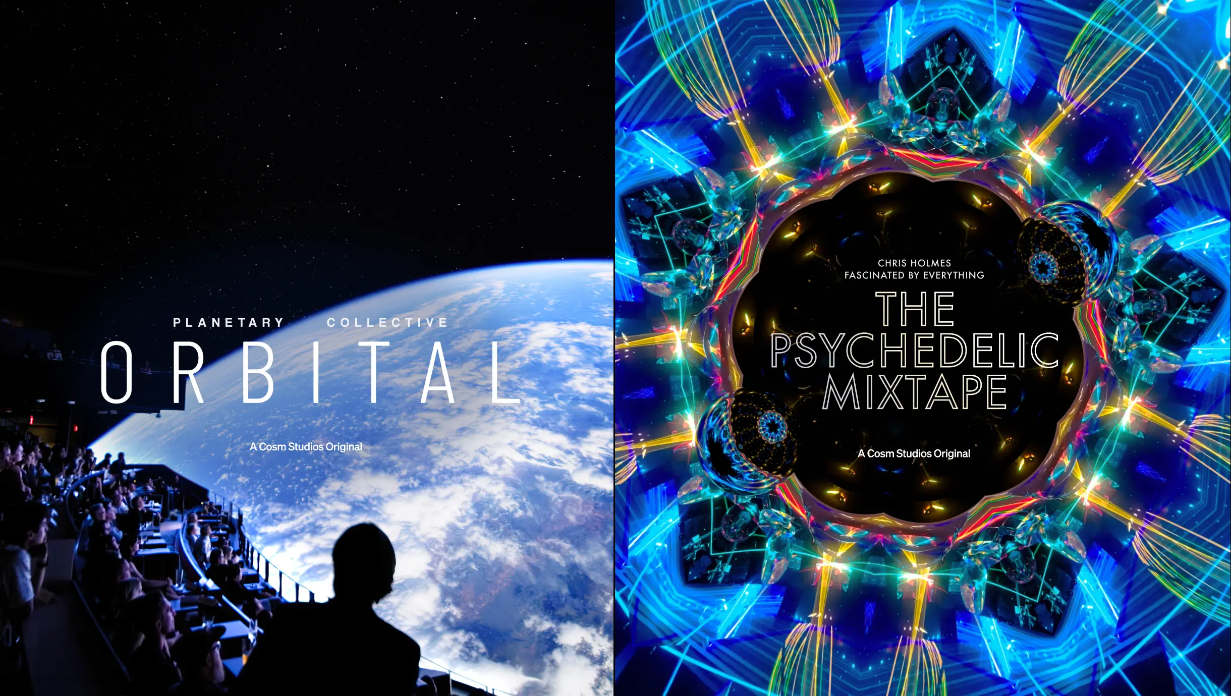 "O" by Cirque du Soleil