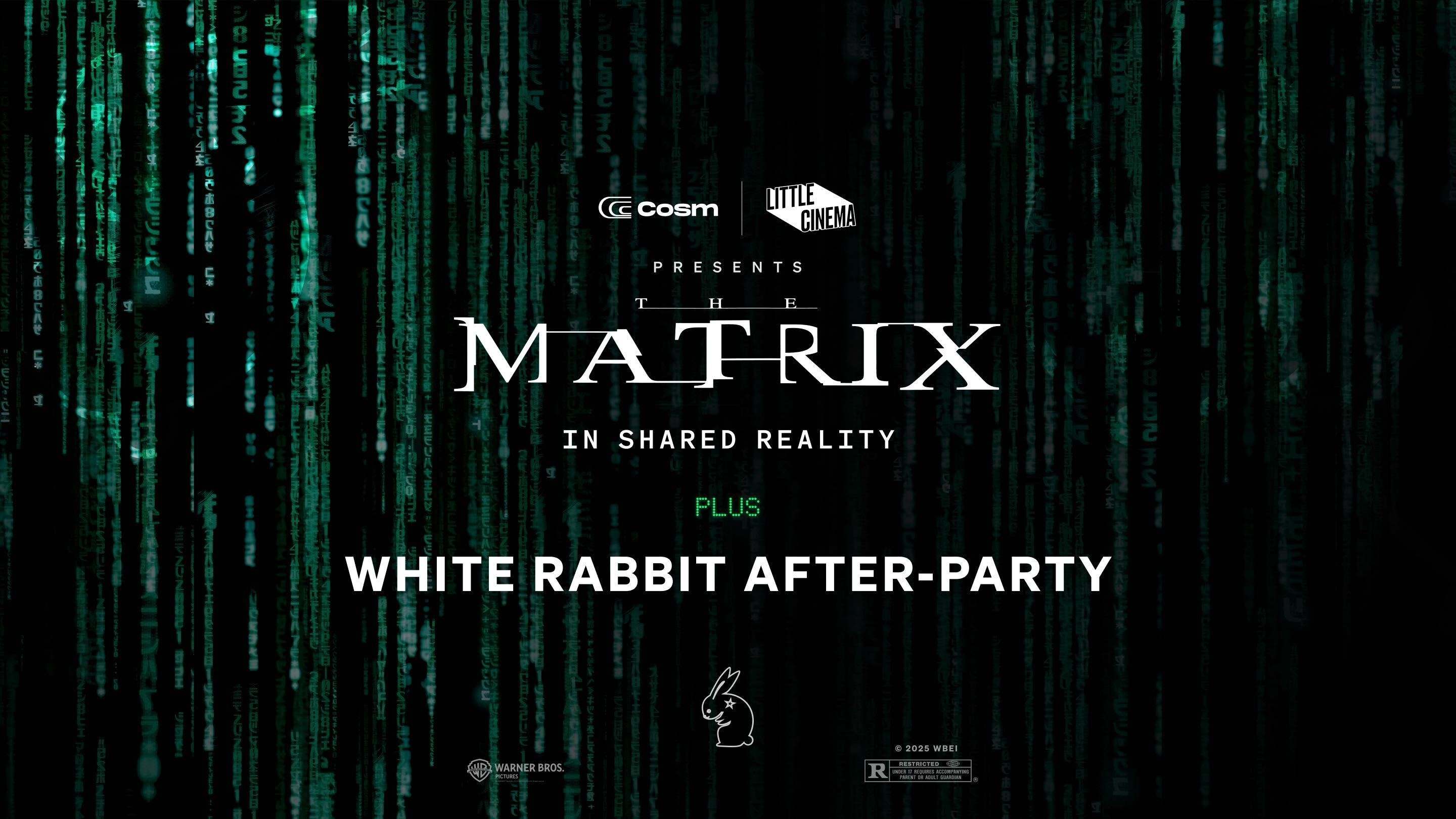 white rabbit matrix