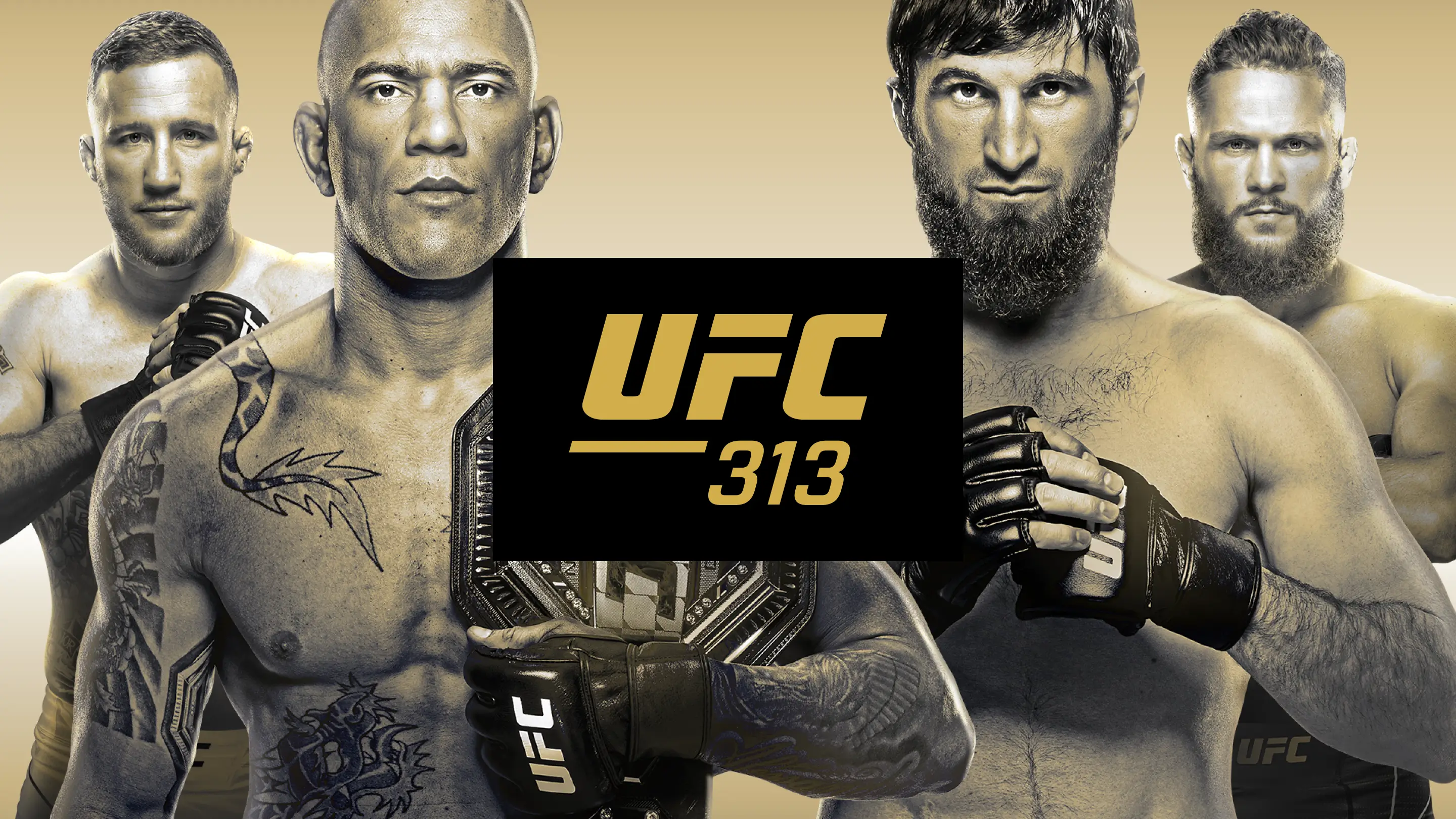 UFC 313